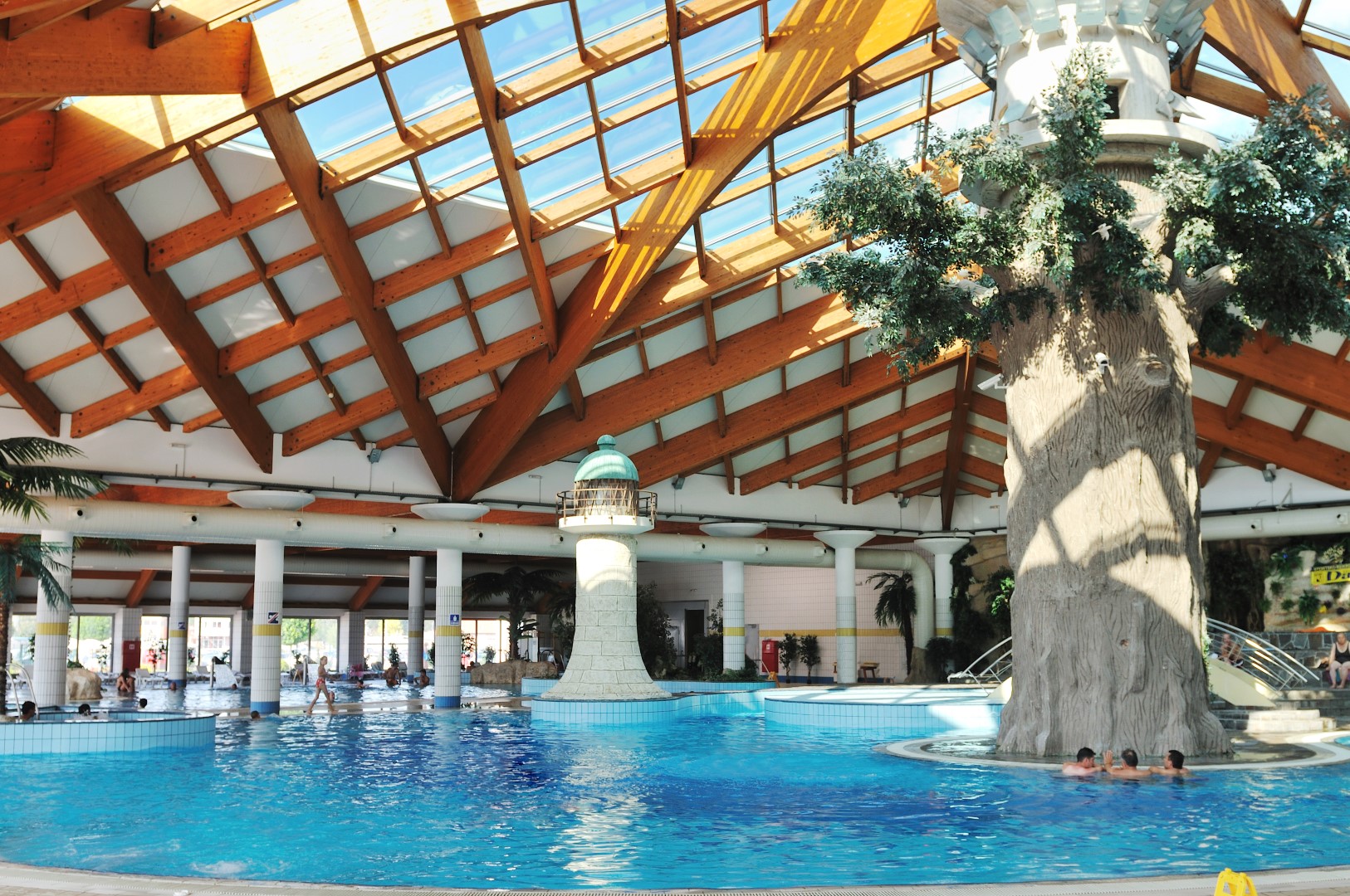 Ozone for Swimming Pools and Spas - Chlorine Alternative